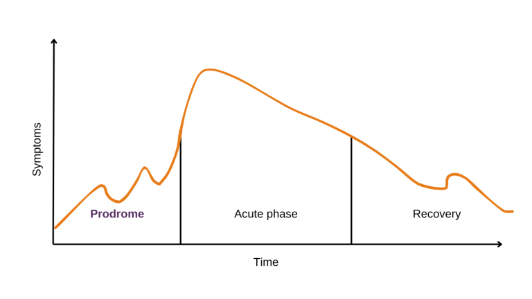 Understanding psychosis – Psychosis Wales